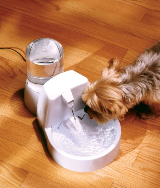 Drinkwell Original Pet Fountain | Buy Tech Zone Drinkwell Original Pet Fountain | Buy Tech Zone